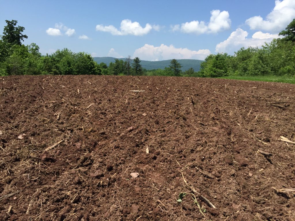 The Tilled Field