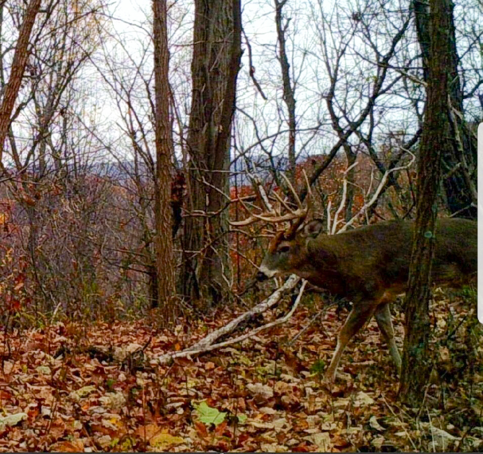 EP. 382: If You're Hunting Hot Sign, You're A Day Behind | Brandon ...