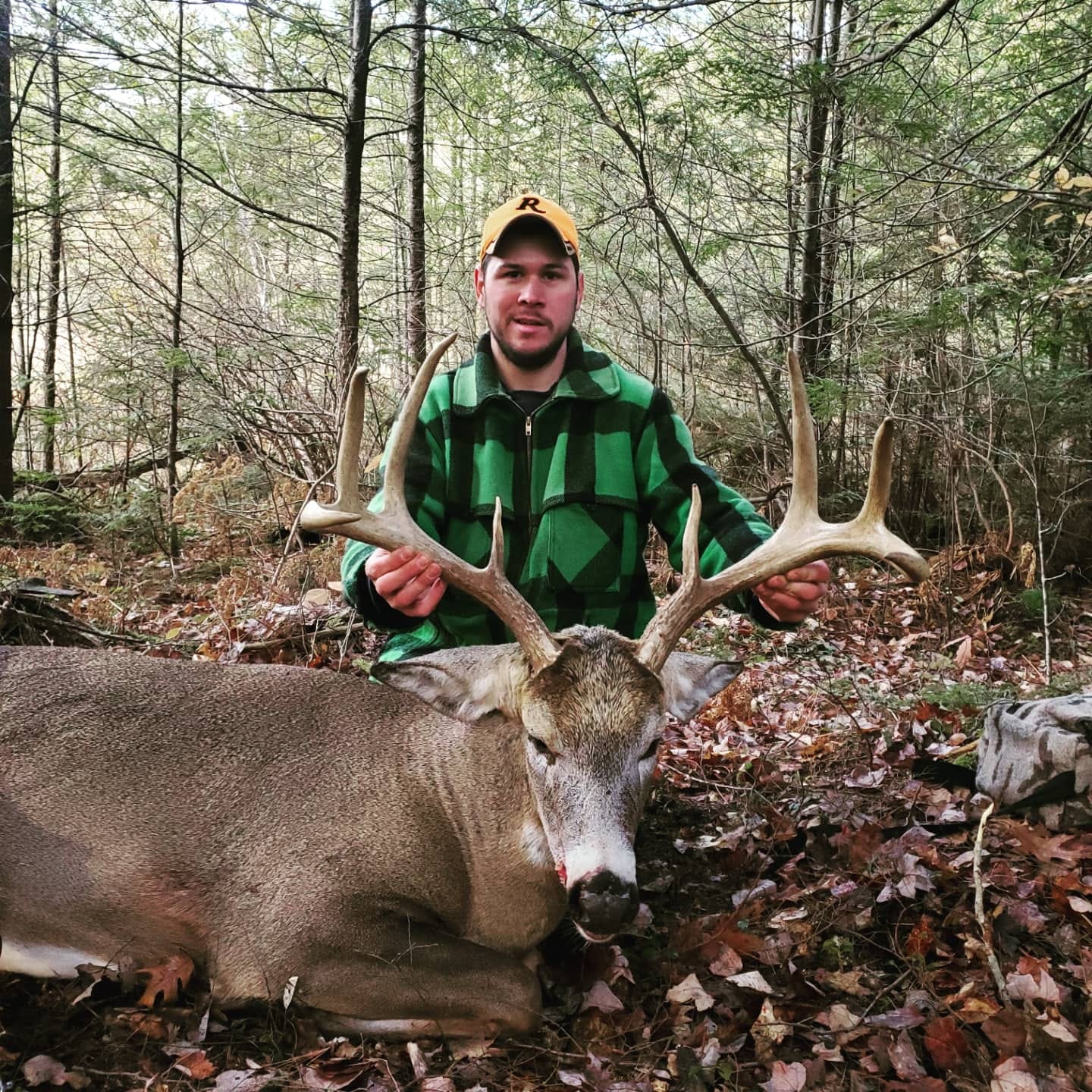 EP. 434: Chasing Ghosts - Grit, Heartbreak, and Big Woods Whitetails ...